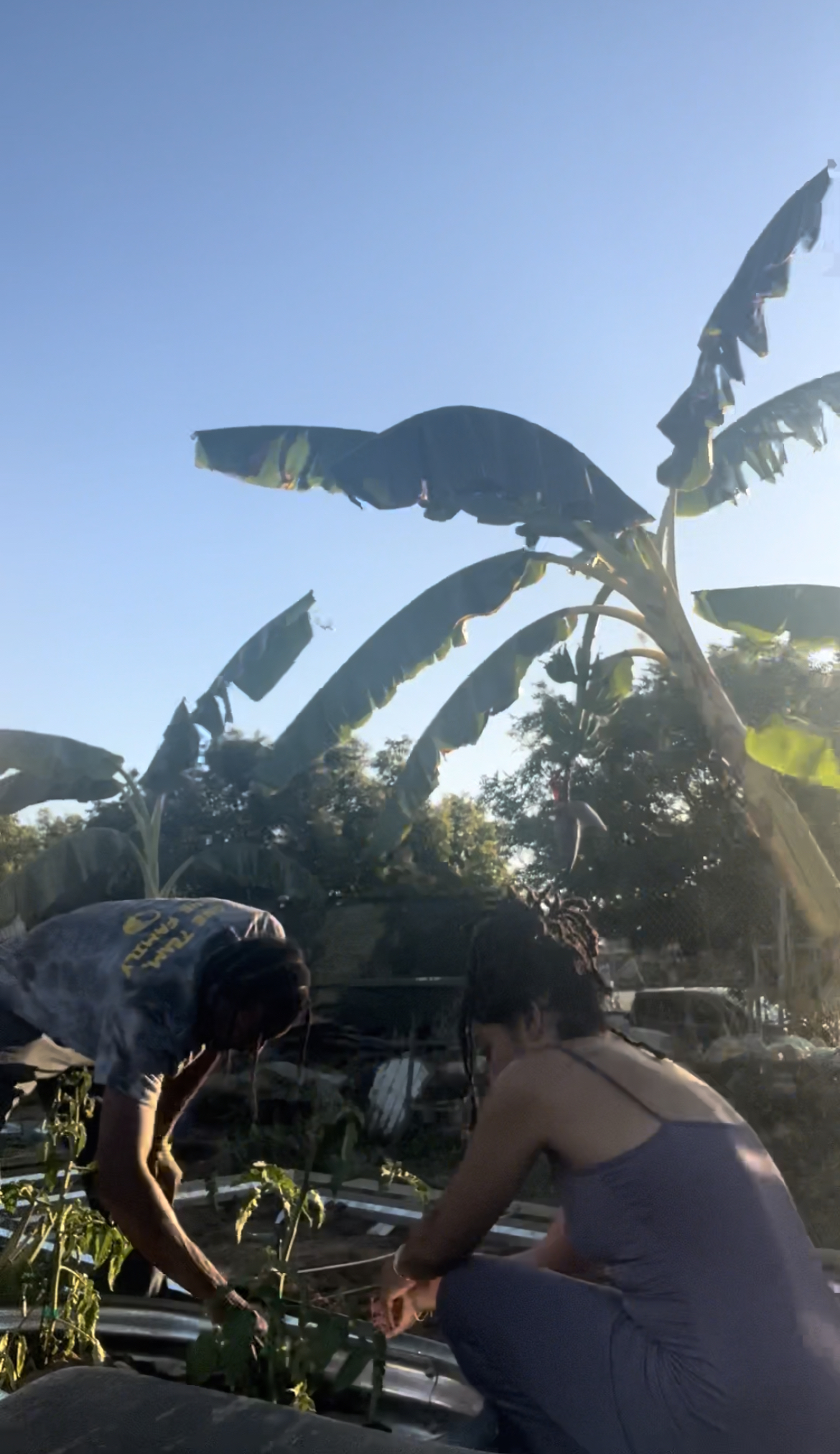 Urban Uplift LA – Planting seeds and watching them grow.