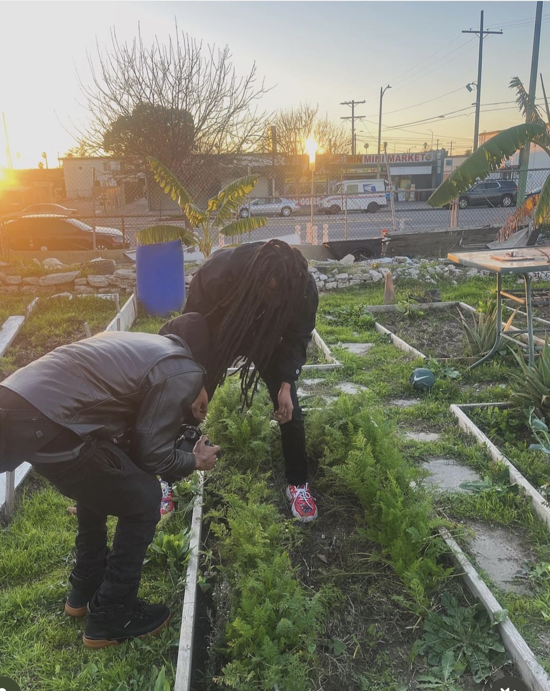 Urban Uplift LA – Planting seeds and watching them grow.